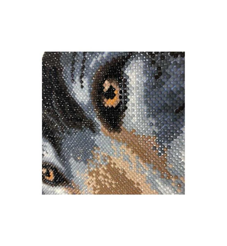 CRAFT BUDDY - Bastelset Crystal Art Kit Wolf 30 … | DeinDeal