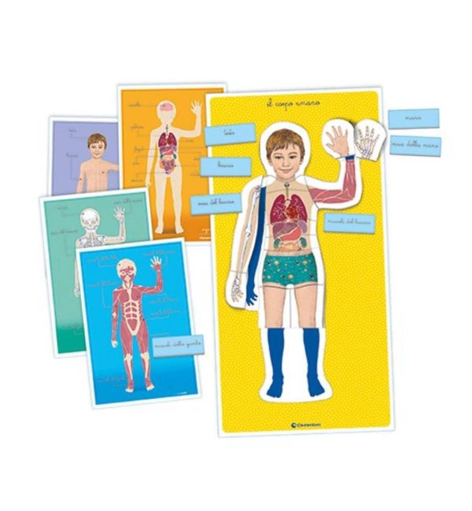 Clementoni Montessori Corpo umano - Italian vers… | DeinDeal