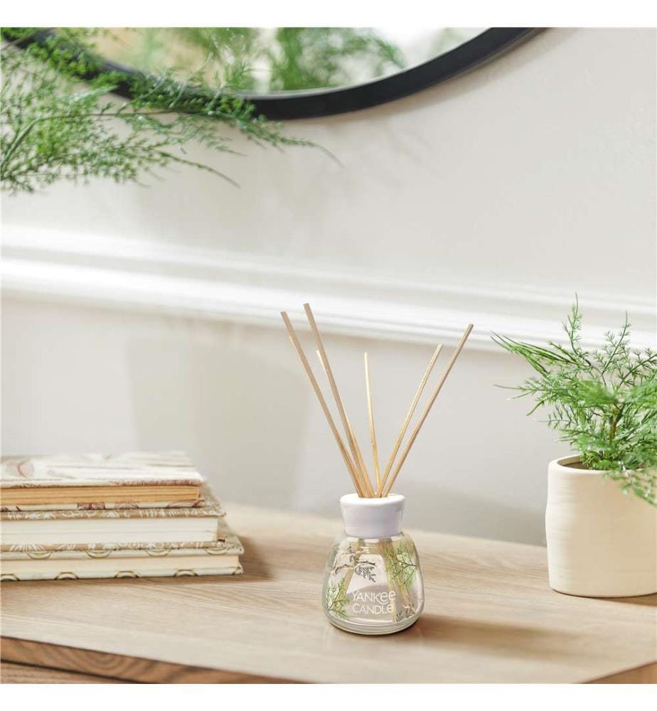 Yankee Candle Reed Diffuser Bay Cedar | DeinDeal