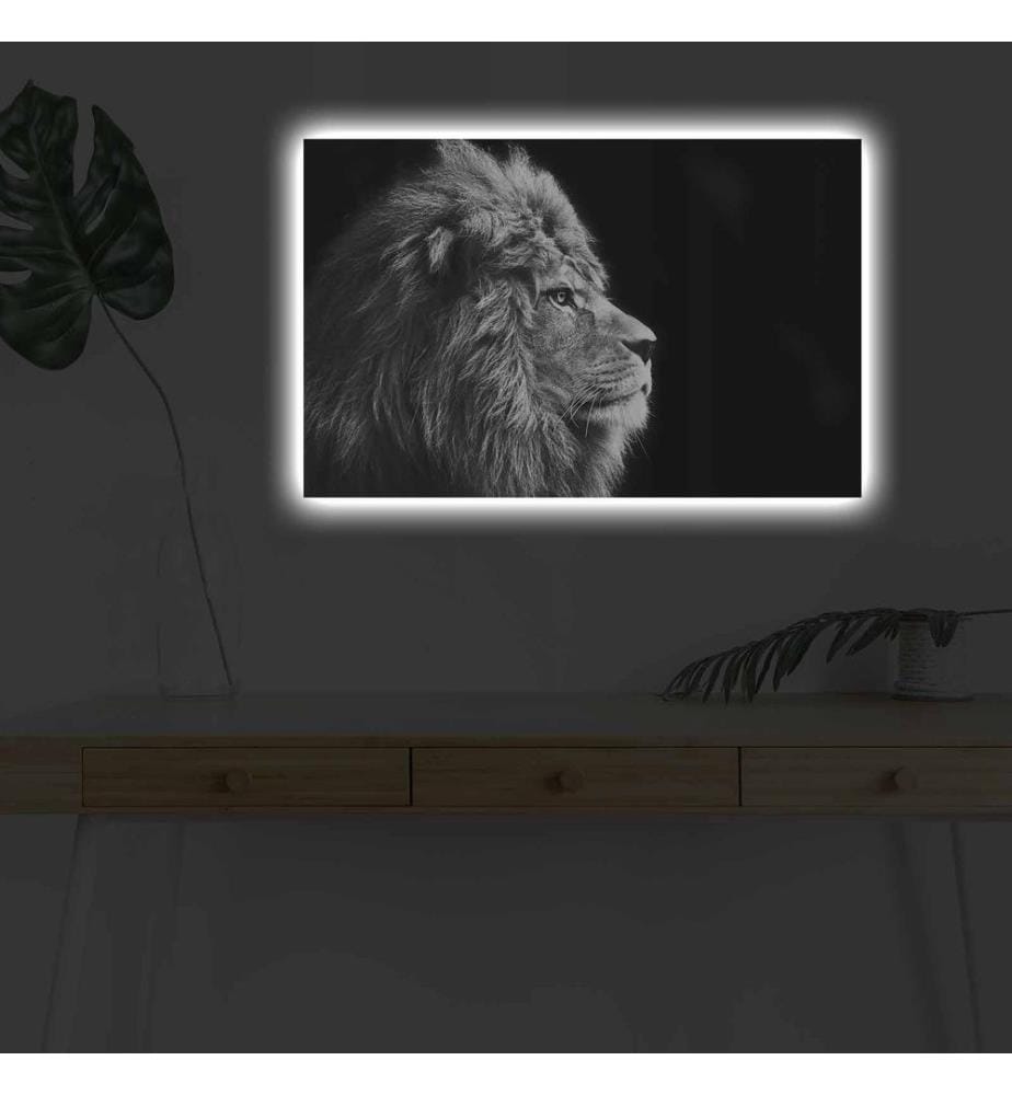 Wallity Decorative Led Lighted Canvas Painting, … | DeinDeal