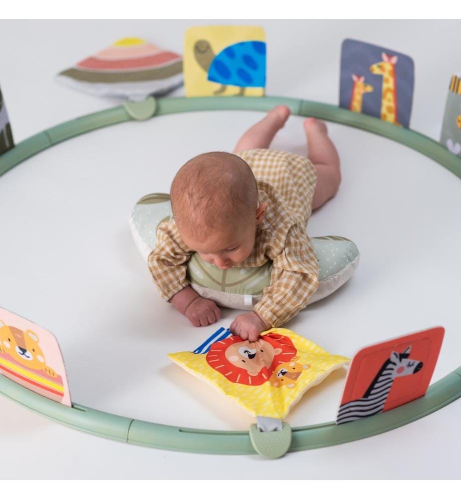 Taf Toys 0m+ activity hoop | DeinDeal