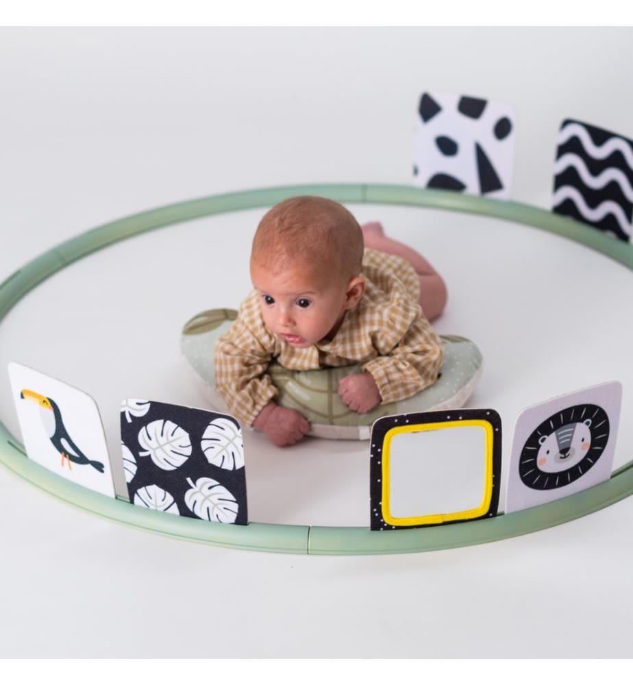 Taf Toys 0m+ activity hoop | DeinDeal