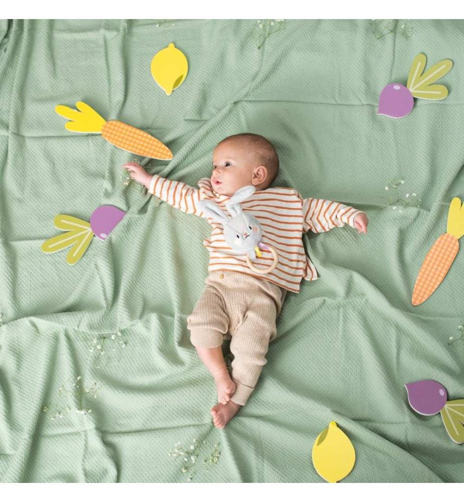 Taf Toys Rylee 0m+ rabbit rattle | DeinDeal