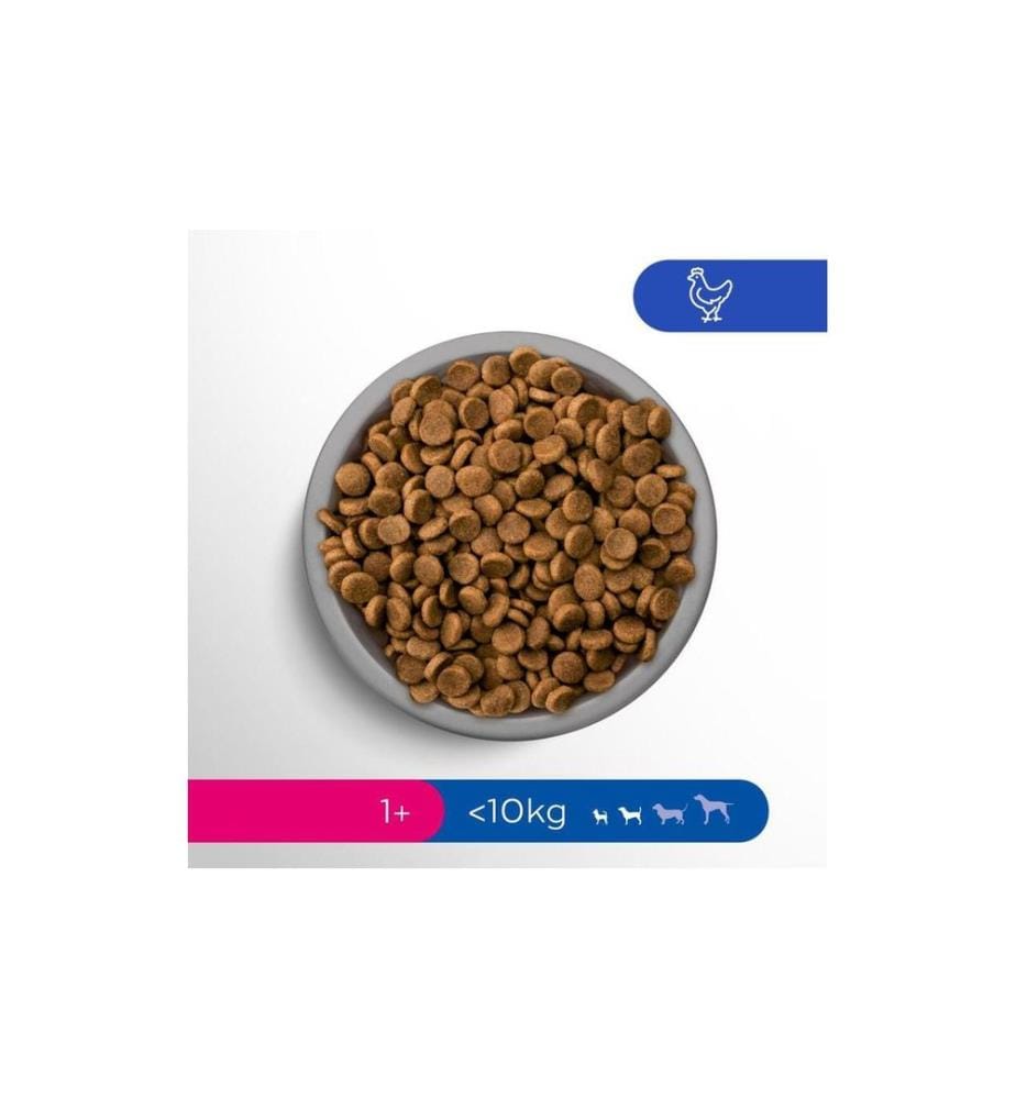 Perfect Fit - Trockenfutter Dog Trocken XS/S 1+,… | DeinDeal
