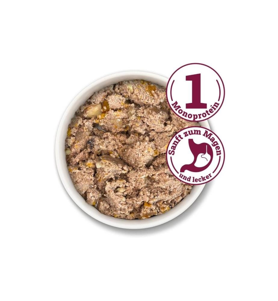 HERRMANN'S - Nassfutter Bio Gans mit Kürbis und … | DeinDeal