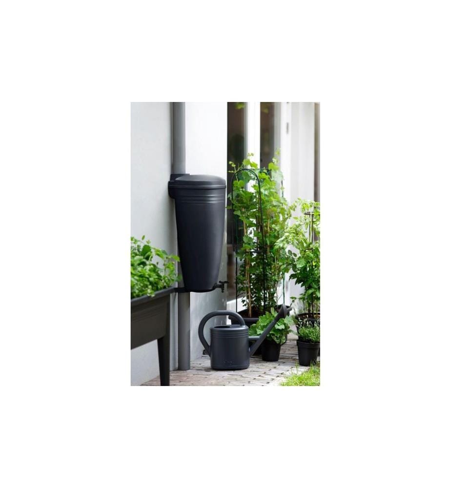 Elho - Green Basics Rain Catcher 35 ltr Schwarz | DeinDeal