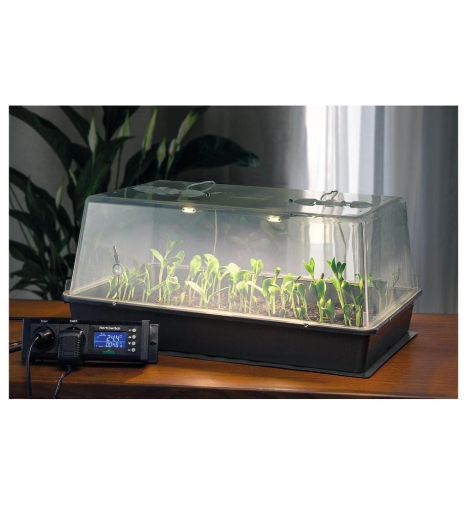 Romberg - Anzuchtset Maximus Complete LED | DeinDeal