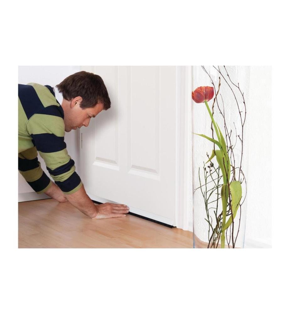 TESA - Türdichtschiene MOLL Standard 1 m x 37 mm | DeinDeal