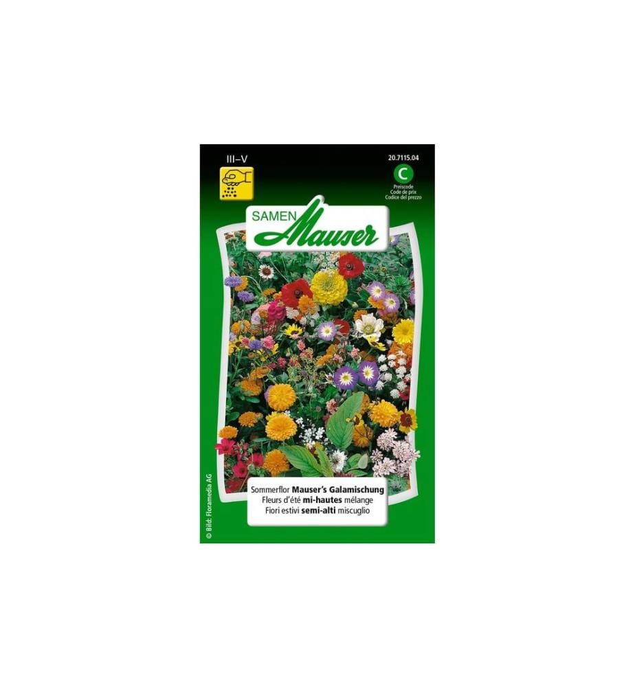 Home Samen Mauser - Saatgut Sommerflor Mauser's … | DeinDeal