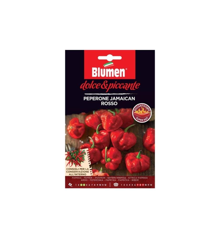 Blumen BLUMEN - Samen Paprika Jamaicon rosso | DeinDeal