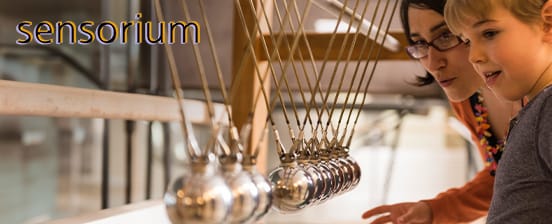 Entry to the Sensorium | DeinDeal